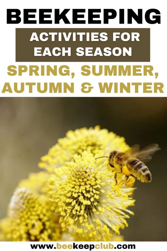 Beekeeping Activities & Tasks for Each Season: Year-Round Guide - Honey ...